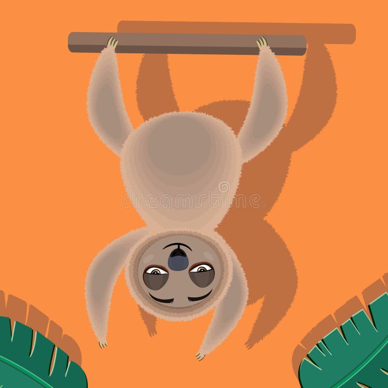 Sloth Poses Stock Illustrations – 190 Sloth Poses Stock Illustrations ...