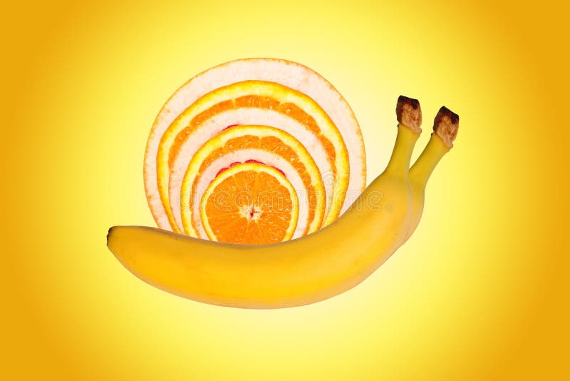 Funny Snail, Made from Fruits and Vegetables Stock Image - Image of ...
