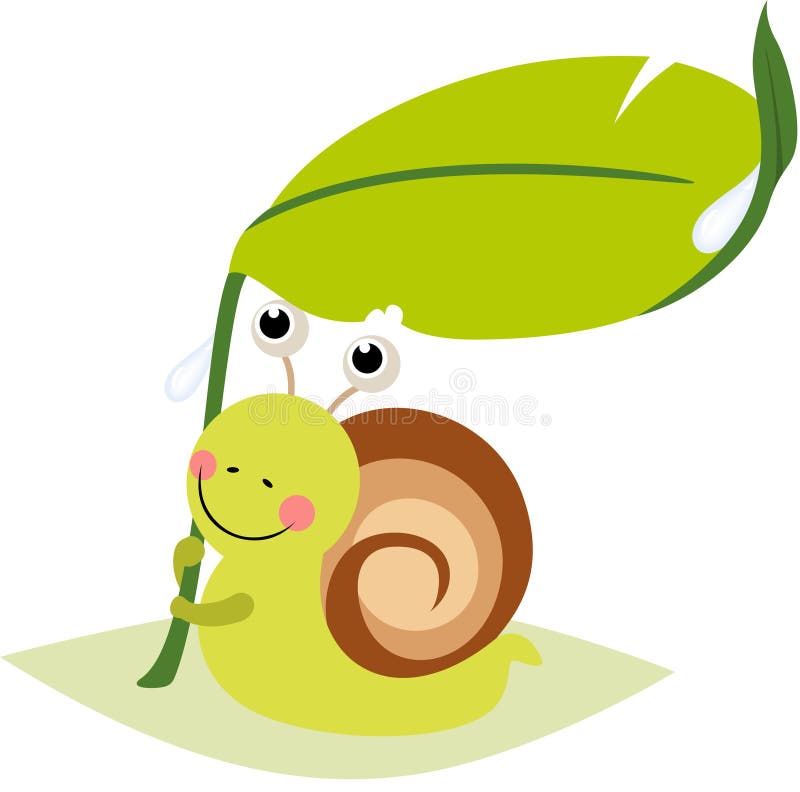 Funny Snail Sheltering from Rain Under Green Leaf Stock Vector ...