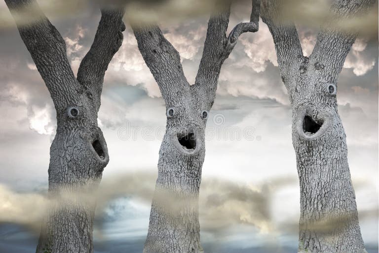 Funny Spooky Trees stock image. Image of eyes, scary - 18404233