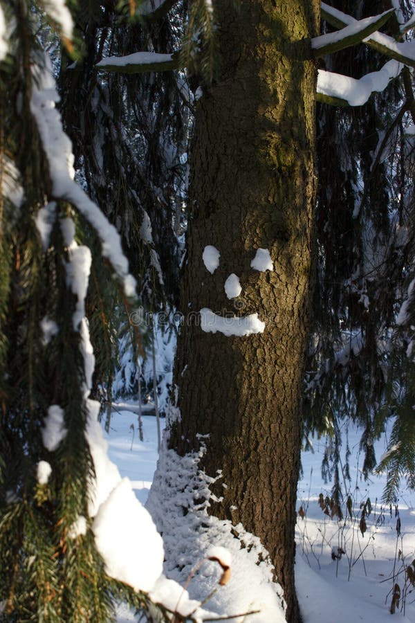 Funny Tree in the Snow with a Smiley Face Stock Image - Image of forest ...