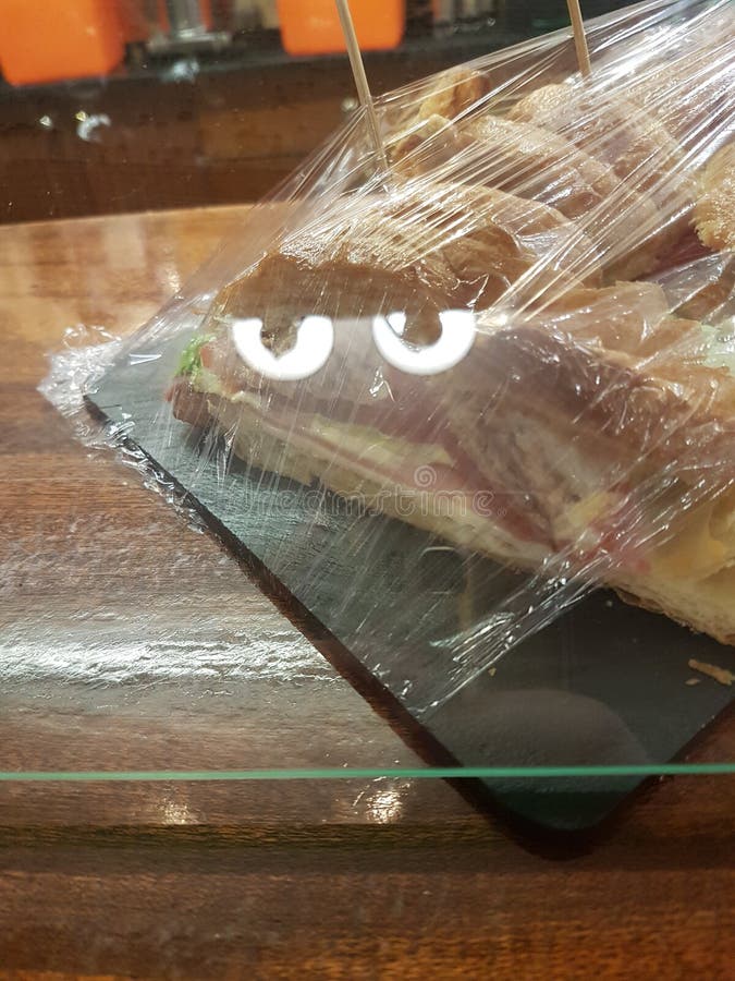 Sandwich with eyes stock photo. Image of vegetable, slate - 241638390