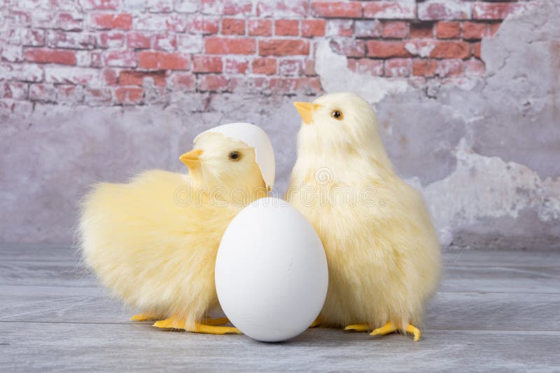 Funny Yellow Chickens in a Shell Easter Card. Stock Photo - Image of ...