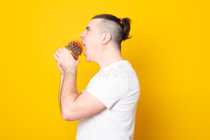 Young Man Bites a Cactus in a Pot. Man Tries To Bite Off a Cactus on a ...