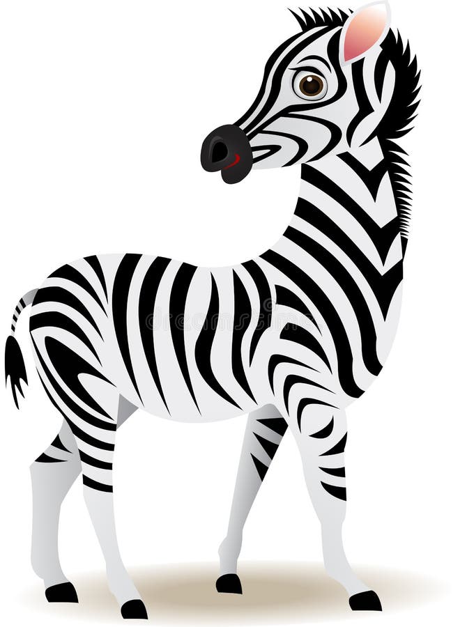 Funny zebra cartoon stock vector. Illustration of wildlife - 23494483