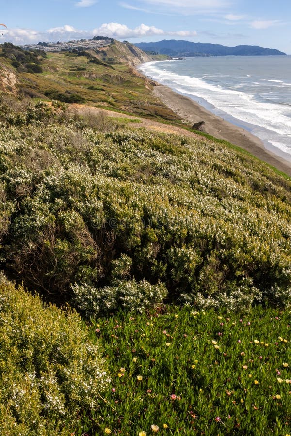 Funston Beach, San Francisco, California, USA Stock Image - Image of ...
