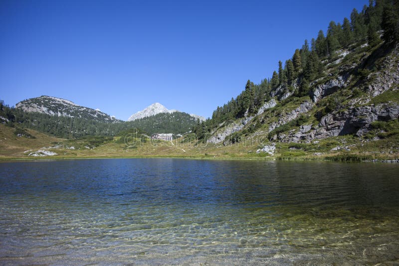 Funtensee, Deutschland stockbild. Bild von bayern, wiese - 11658169