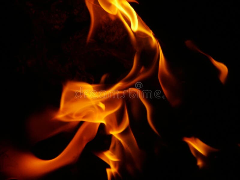 Fuoco del campo fotografia stock. Immagine di accendere - 55163808