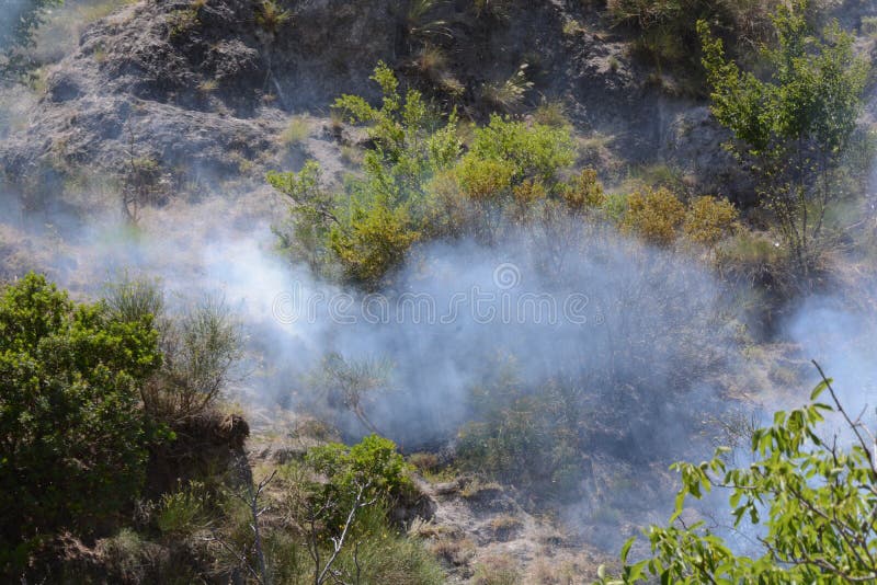 Fuoco Di Estate, Italia Del Sud Fotografia Stock - Immagine di wildfire ...
