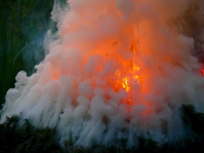 Fuoco. Un fumo. immagine stock. Immagine di assicurazione - 16231309