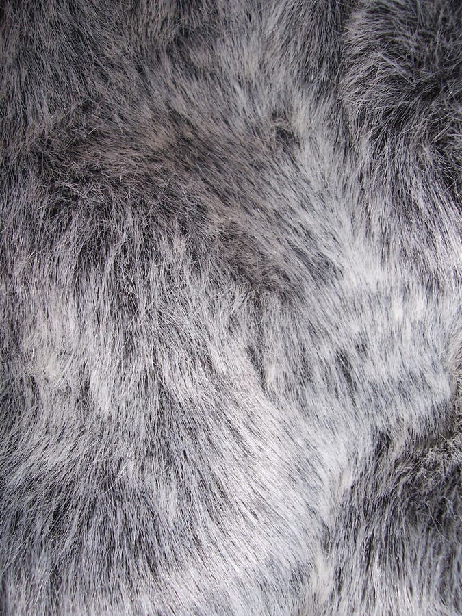 Fur stock image. Image of hair, animal, texture, comfortable - 305735