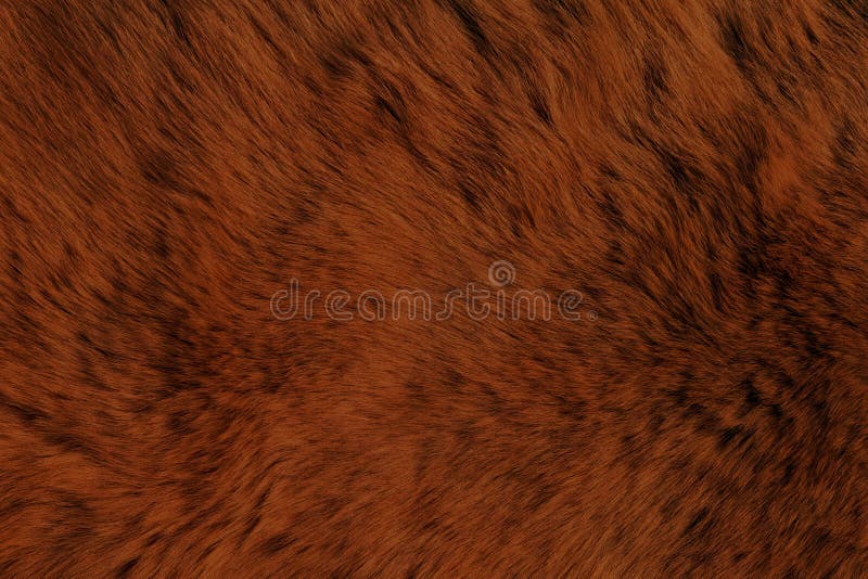 Fur Animal Textures, Bear stock image. Image of texture - 43936213