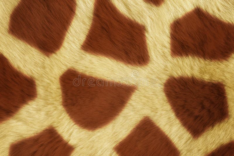 Fur Animal Textures, Girafe Big Stock Image - Image of textures ...