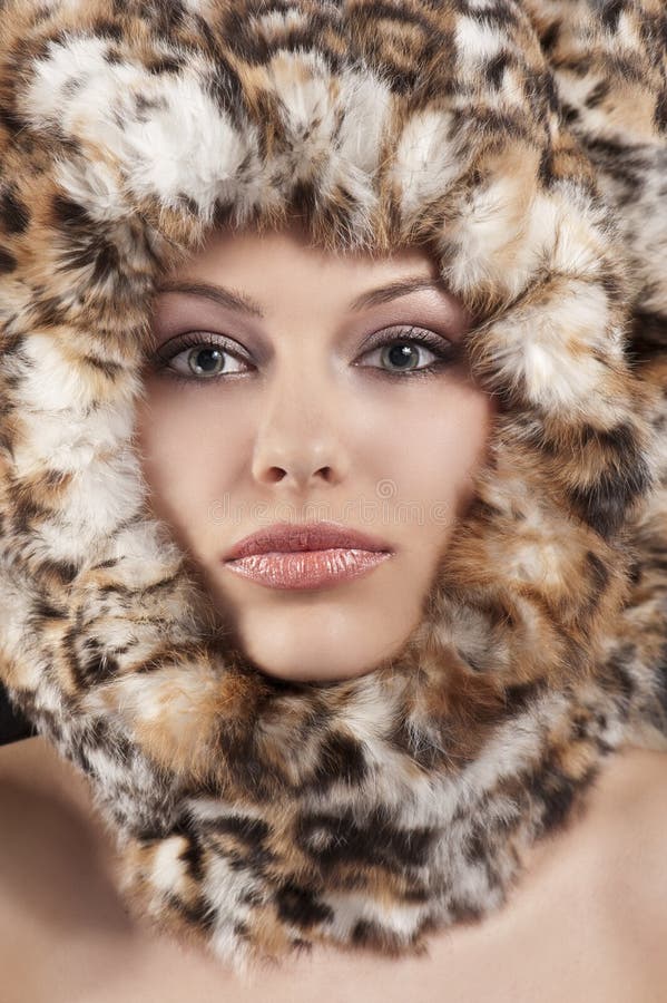 Fur around the face stock photo. Image of coat, head - 21115050