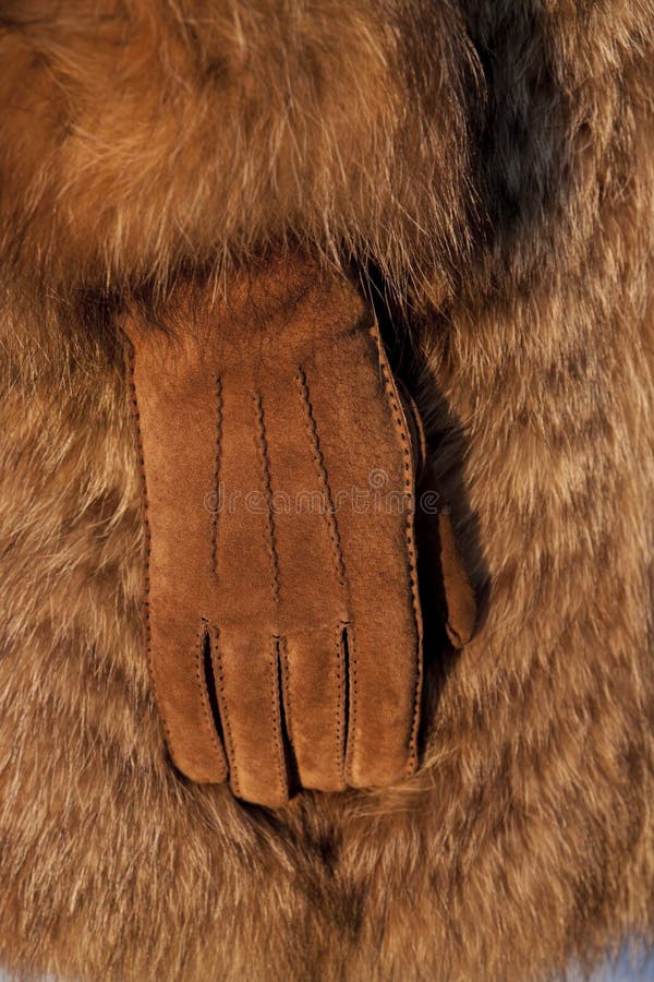 Fur Background. Cold Winter Stock Photo - Image of protective, soft ...