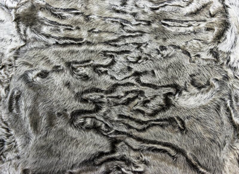 The Fur is Black Karakul Lambskin Texture, Background Stock Photo ...