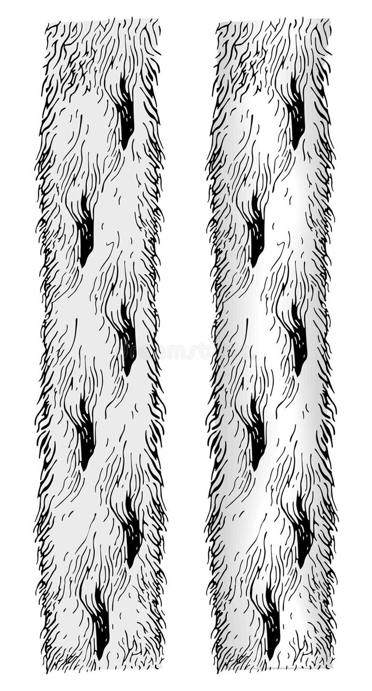 Fur Coat Line Art Stock Illustrations – 711 Fur Coat Line Art Stock ...