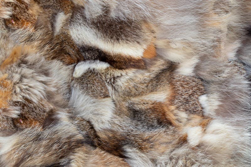 Fur Coat from Pieces of Fur of Different Animals As a Background ...