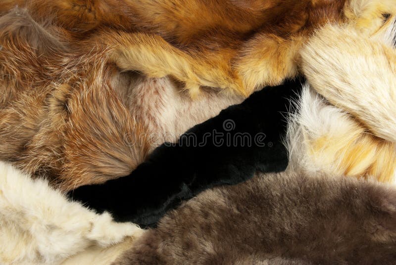 Fur of different animals stock photo. Image of animals - 24154772