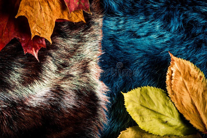Fur Fabric Texture with Autumn Leafs Stock Photo - Image of coat ...