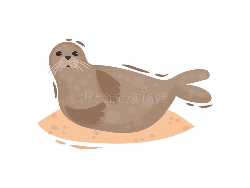 Fur Seal Lying on Its Side. Vector Illustration. Stock Vector ...