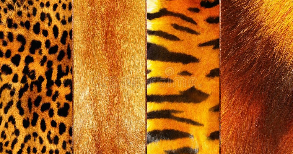 Fur set stock photo. Image of macro, jungle, fuzzy, interior - 4150354