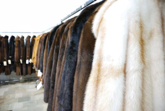 Fur shop stock image. Image of jacket, clothes, cool, horizontal - 7262981