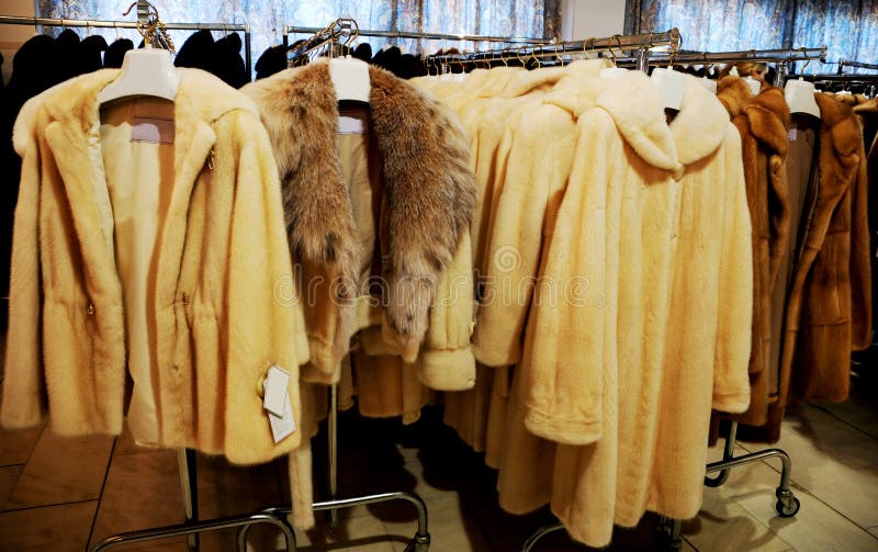 Fur store stock image. Image of female, department, hair - 7392311