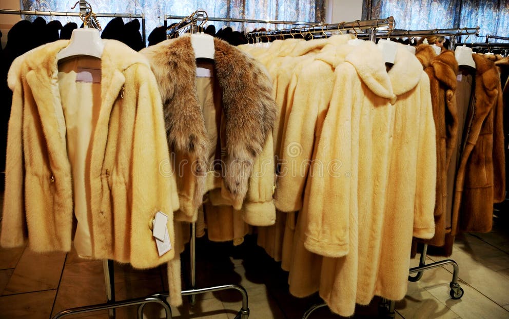 Fur store stock image. Image of female, department, hair - 7392311