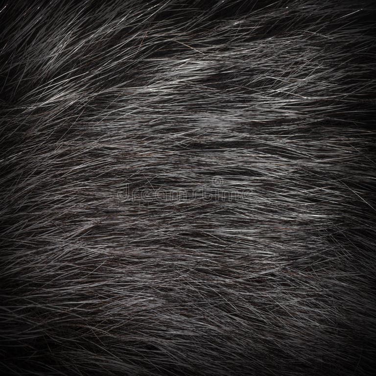 Fur structure stock image. Image of close, africa, clothing - 47479985