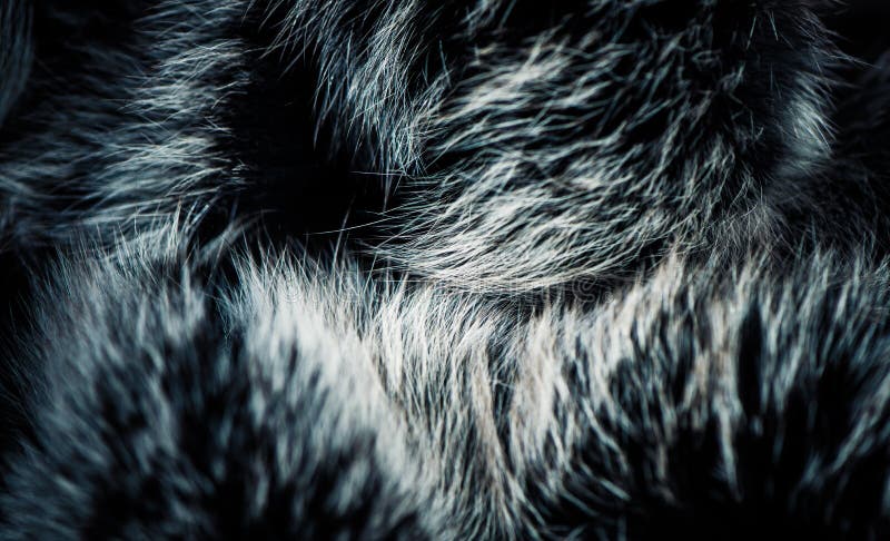 Fur Surface with Shapes and Reflection Stock Image - Image of details ...