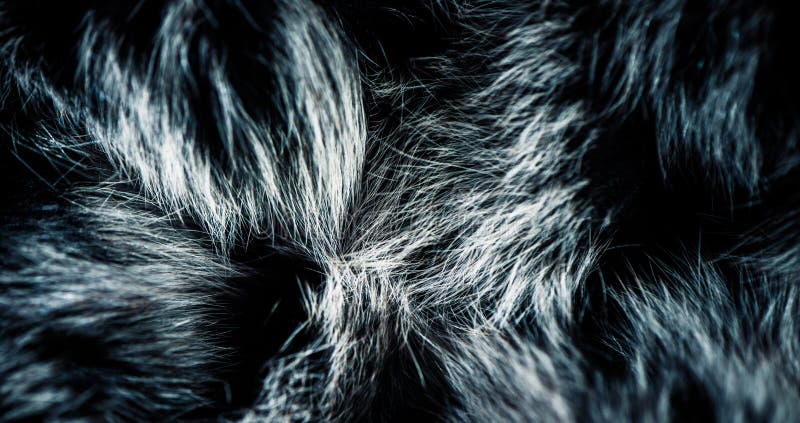 Fur Surface with Shapes and Reflection Stock Image - Image of furry ...