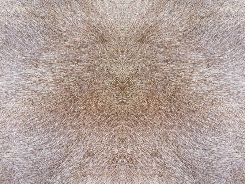 Fur texture stock image. Image of grey, decorative, carpet - 15893345