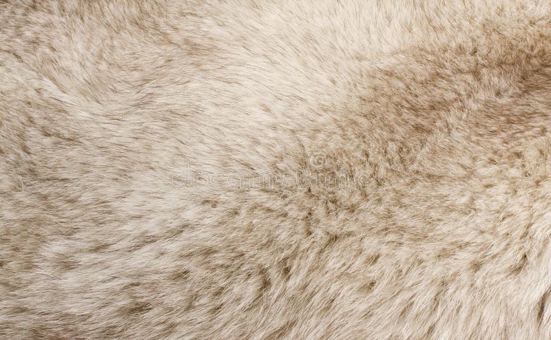 Fur texture stock photo. Image of natural, pattern, material - 27572050