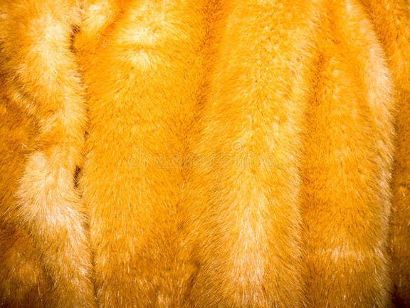 Fur texture. stock image. Image of textured, beaver, texture - 48059799