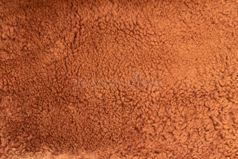 Fur texture. stock image. Image of plaster, lamb, textile - 244390561