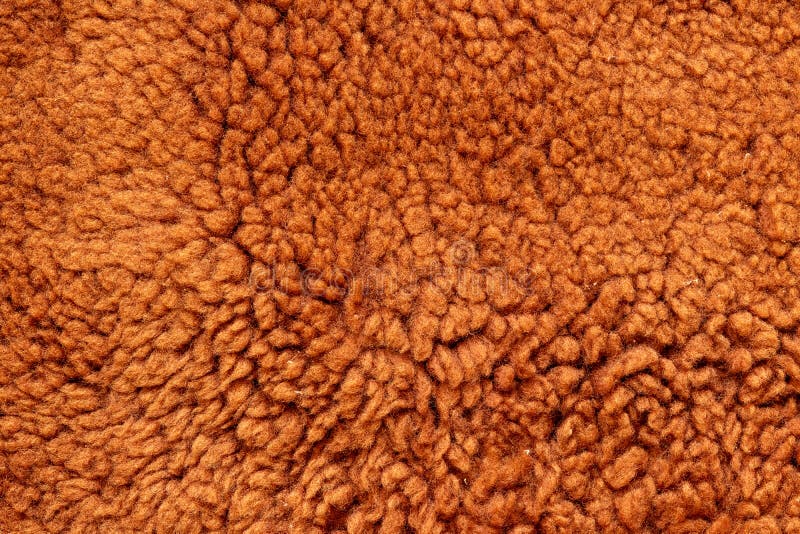 Fur texture. stock photo. Image of leather, design, dark - 244390788
