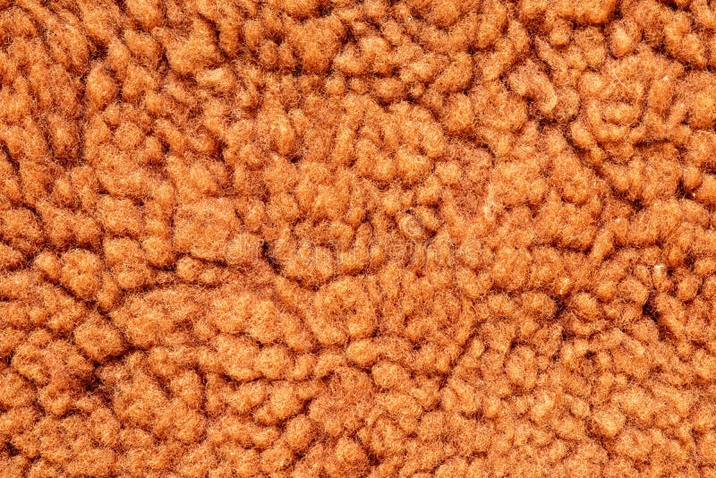 Fur texture. stock image. Image of textile, wallpaper - 244391225
