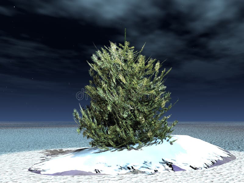 Fur-tree stock illustration. Illustration of branches - 1548980