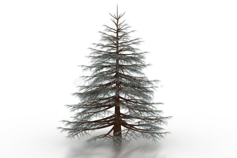 Fur Trees Stock Illustrations – 9,574 Fur Trees Stock Illustrations ...