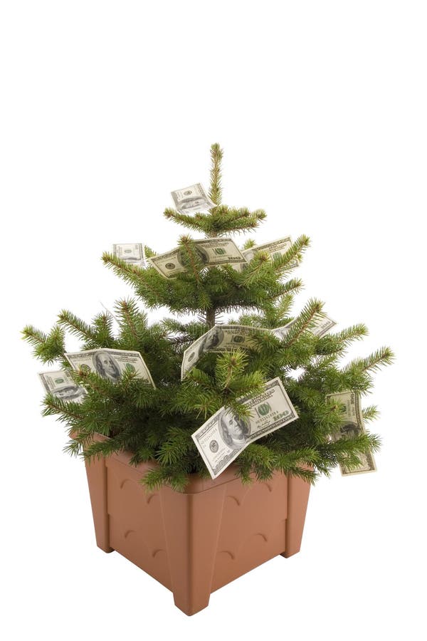 Fur tree stock image. Image of tree, pine, holiday, isolated - 7233337