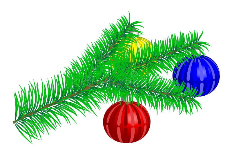 Fur-tree branch stock vector. Illustration of season - 13499488