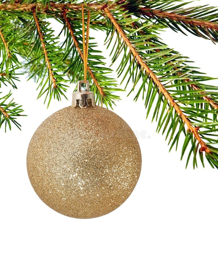 Fur tree branch stock photo. Image of coniferous, occasion - 22283964