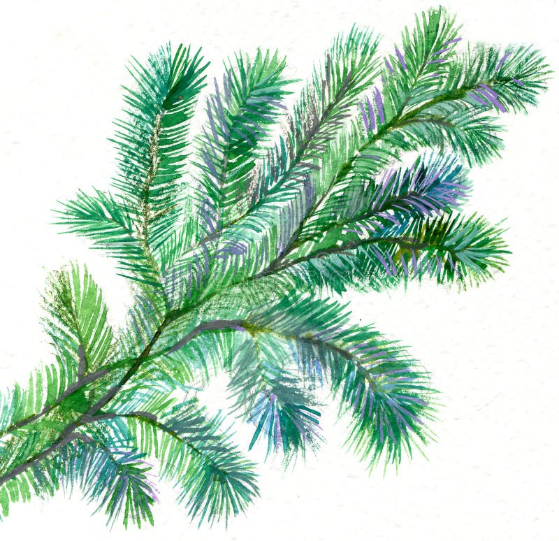 Fur-tree branch stock vector. Illustration of happy, needle - 17264821