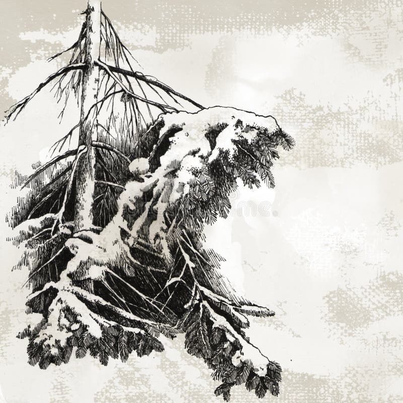 Illustration of a Landscape with a Fur-tree Stock Illustration ...