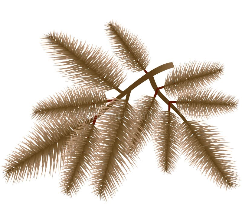 Fur-tree Christmas branch. stock illustration. Illustration of ...