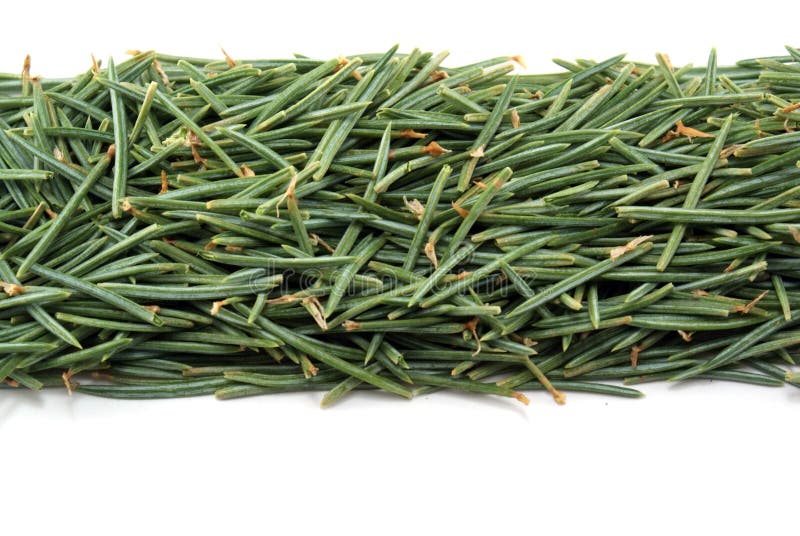 Fur-tree needles stock image. Image of tree, pattern - 12754313