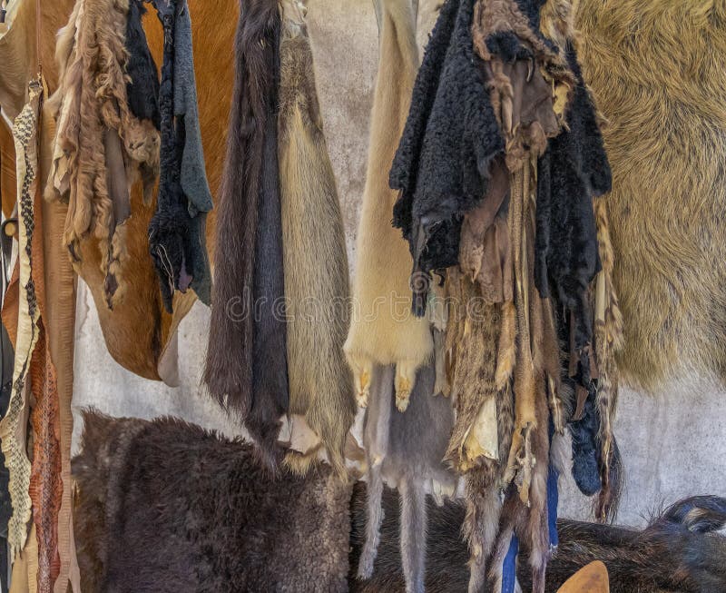 Fur variation stock photo. Image of insulate, buckskin - 150873774