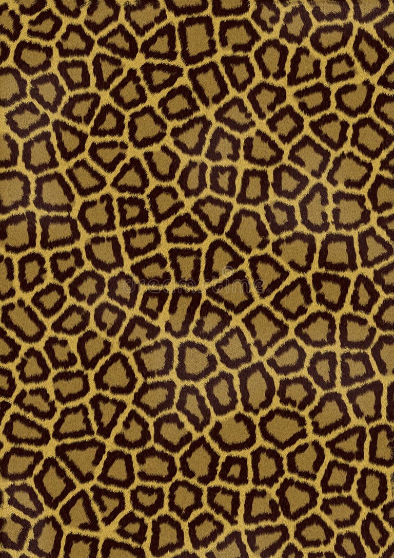 Fur Body Stock Illustrations – 28,218 Fur Body Stock Illustrations ...