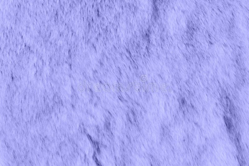 Fur Winter Texture in Very Peri Colour Toned. Stock Photo - Image of ...